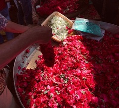 Guide to India's Top 10 Iconic Flower Markets - Interflora India ...